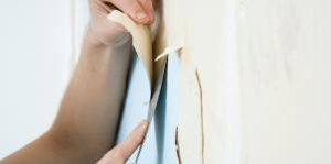 Home - Painting and Decorating, Plastering Edinburgh